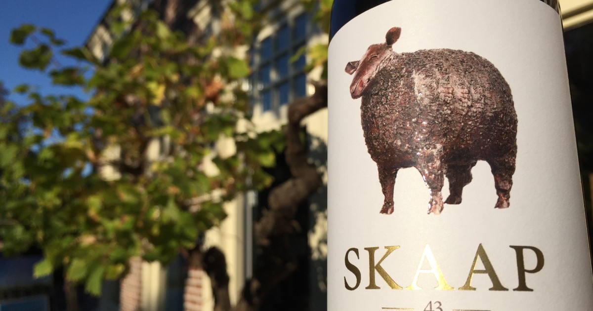 Skaap Shiraz = Binnen! | Siersma Wijnadvies